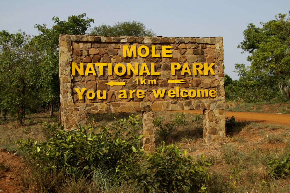 The Summit – True_George